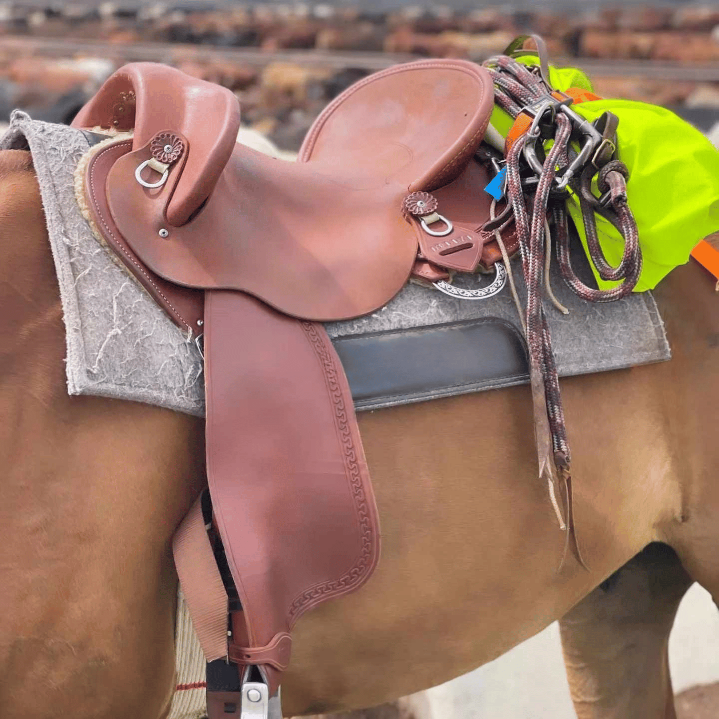 Custom Saddles – davidearlecustomsaddles